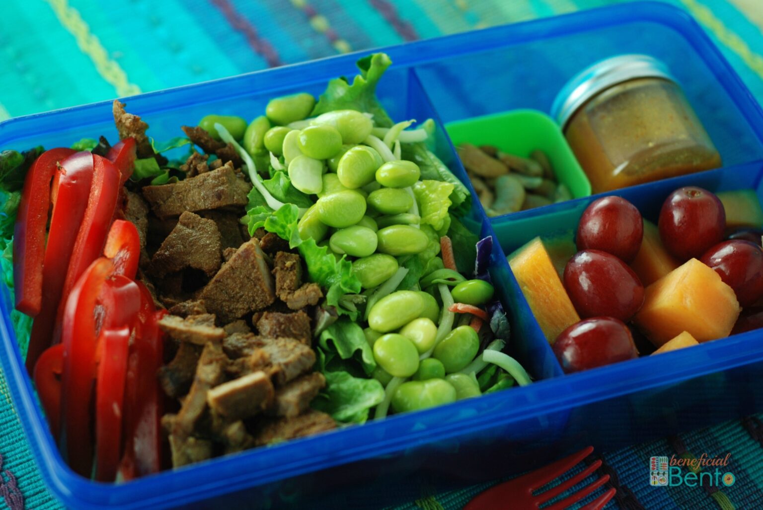 Beef and Edamame Salad Bento - Beneficial Bento